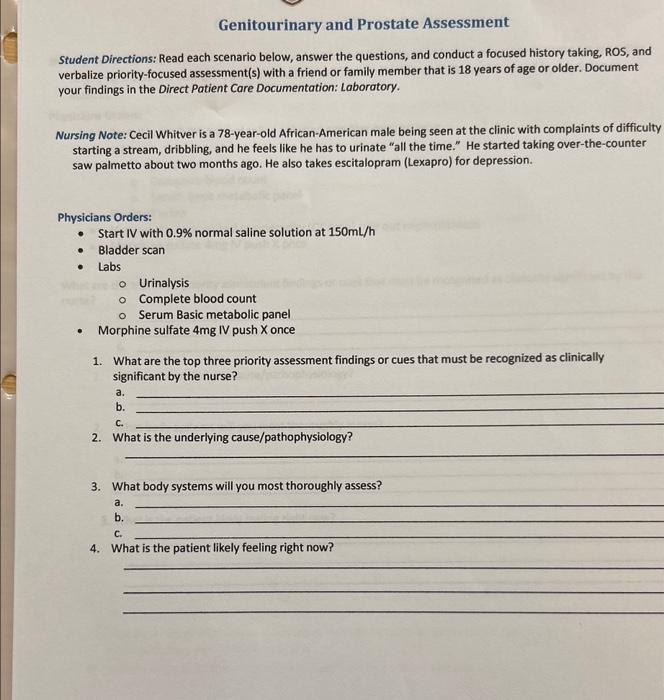 Solved Genitourinary and Prostate Assessment Student | Chegg.com