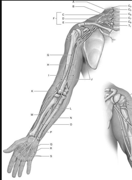 Solved please label | Chegg.com