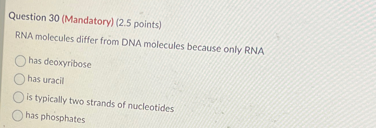 Solved Question 30 (Mandatory) (2.5 ﻿points)RNA molecules | Chegg.com