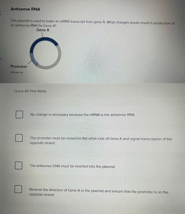 Solved This plasmid is used to make an mRNA transcript from | Chegg.com