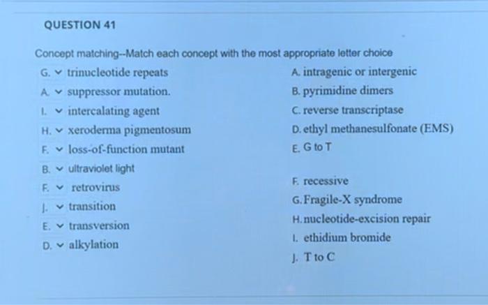 Solved QUESTION 41 Concept matching--Match each concept with | Chegg.com