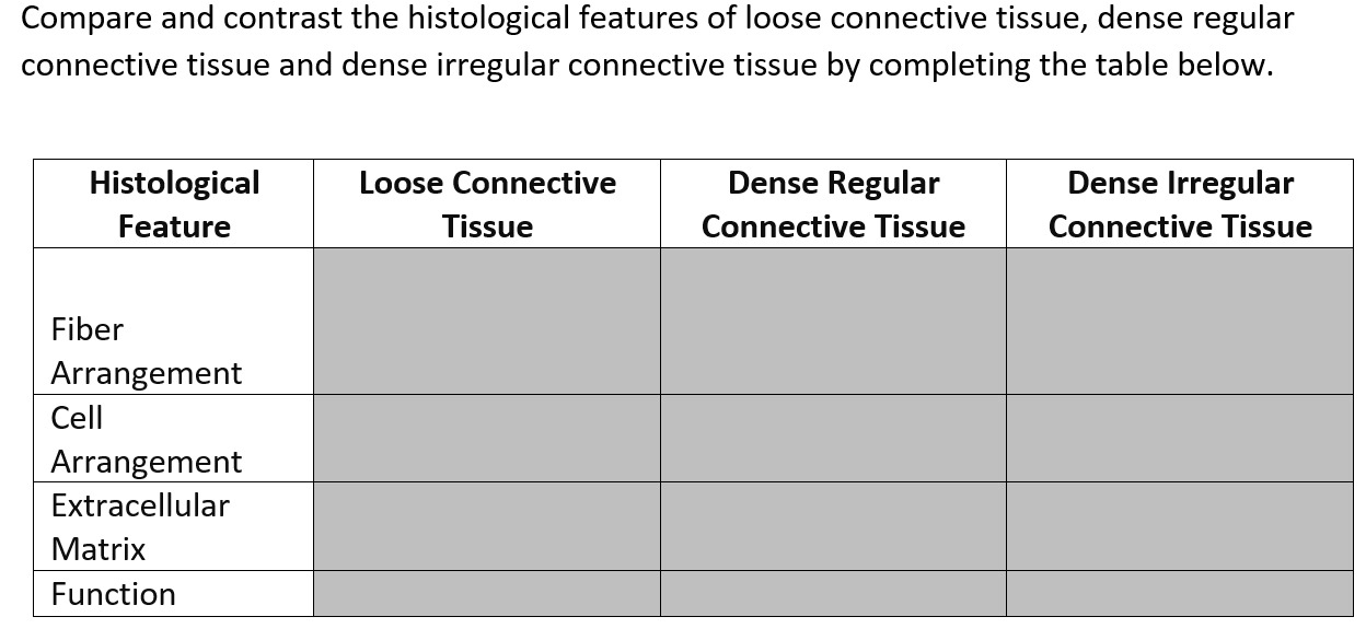 Solved Compare and contrast the histological features of | Chegg.com