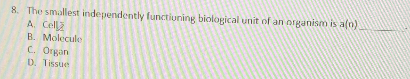 Solved The smallest independently functioning biological | Chegg.com