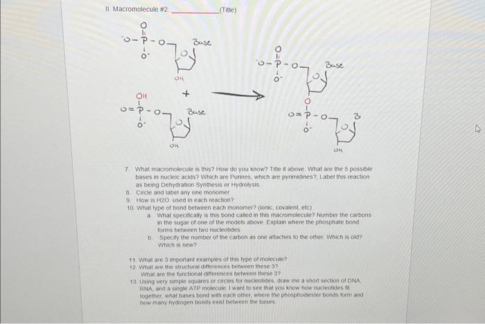 Solved II. Macromolecule \#2 (Ttite) 7. What macromolecule | Chegg.com
