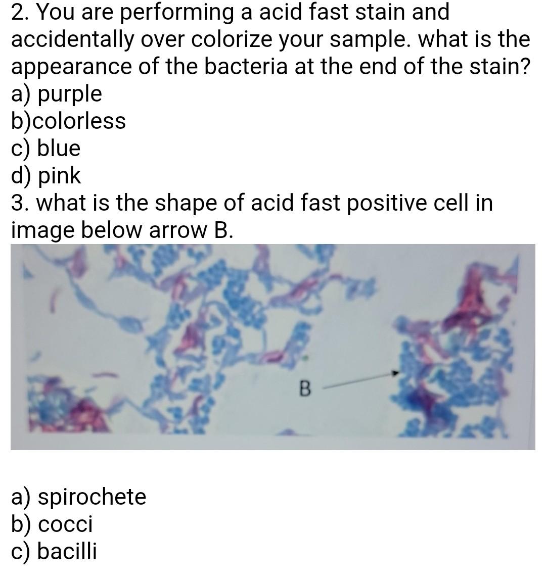 Solved 2. You are performing a acid fast stain and | Chegg.com