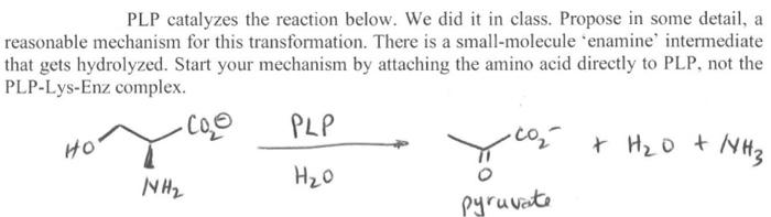 Solved PLP catalyzes the reaction below. We did it in class. | Chegg.com
