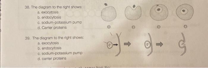 Solved Match each concept with its definition 1. Hypertonic | Chegg.com
