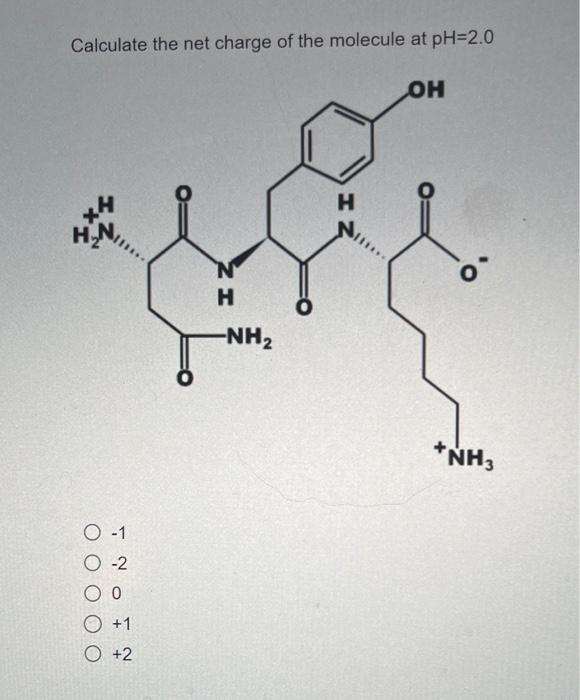 Solved Calculate the net charge of the molecule at pH=2.0 | Chegg.com