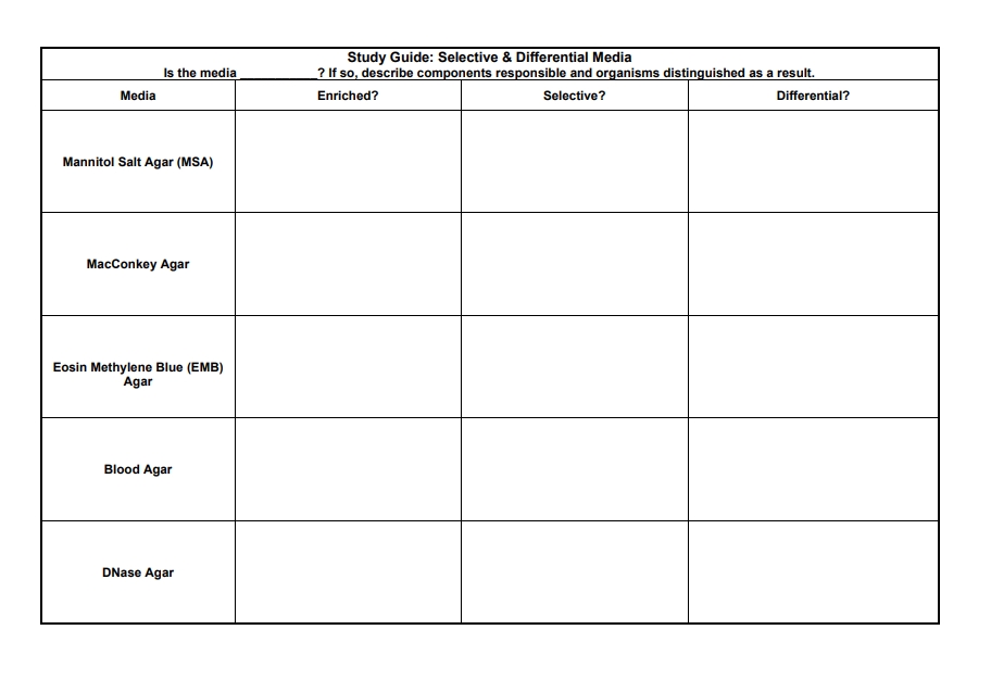 Solved Please help me fill out this microbio table! | Chegg.com