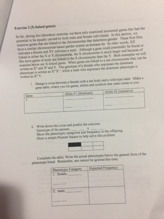 Solved Show a simple Punnett Square for each gene in this | Chegg.com