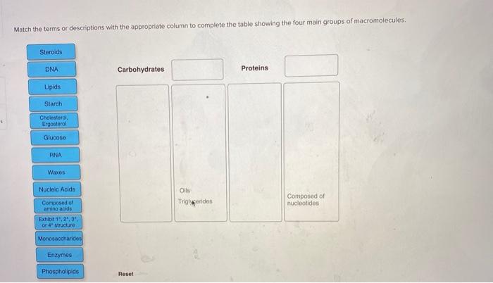 Solved Match the terms or descriptions with the appropriate | Chegg.com