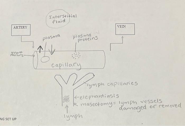 Solved Please help.this is the diagram. | Chegg.com Solved Please help.this is the diagram. | Chegg.com