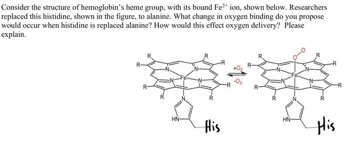 Solved Consider the structure of hemoglobin's heme group, | Chegg.com