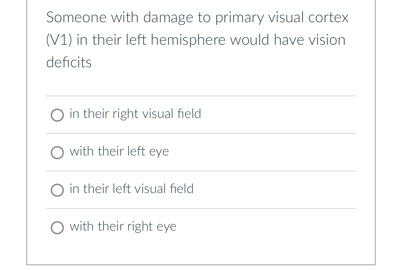 Solved Someone with damage to primary visual cortex (V1) ﻿in | Chegg.com