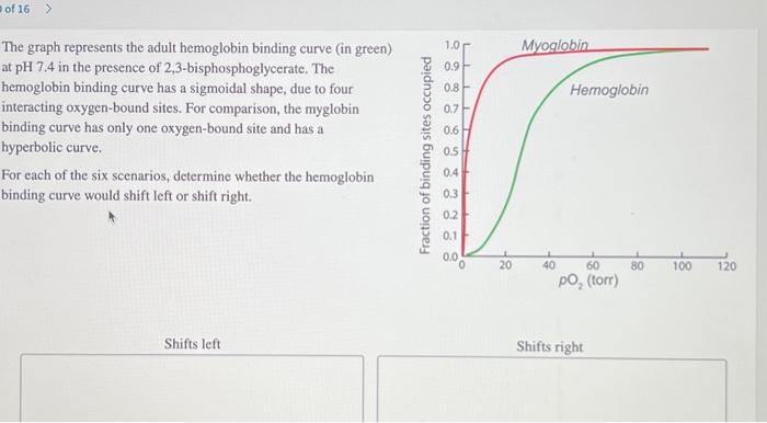 Solved The graph represents the adult hemoglobin binding | Chegg.com
