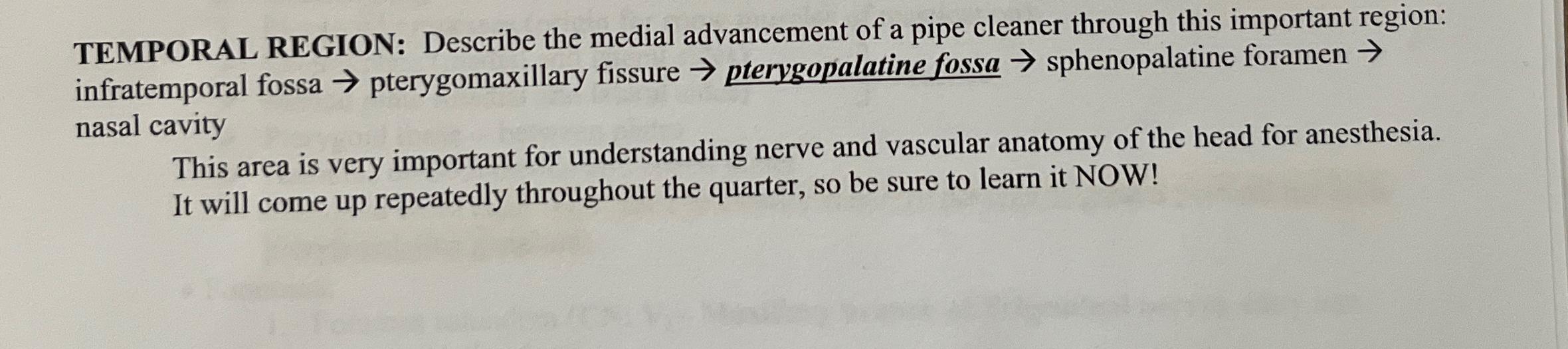 Solved TEMPORAL REGION: Describe the medial advancement of a | Chegg.com