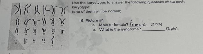 Solved Use the karyotypes to answer the following questions | Chegg.com