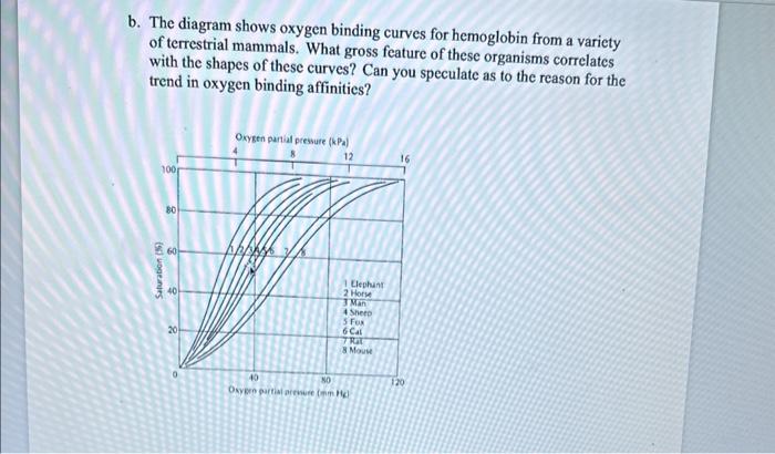 Solved a. In marine diving mammals, muscle is extremely rich | Chegg.com