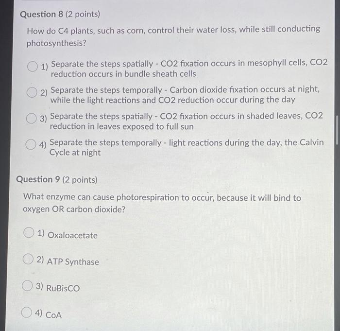 Solved Question 8 (2 points) How do C4 plants, such as corn, | Chegg.com