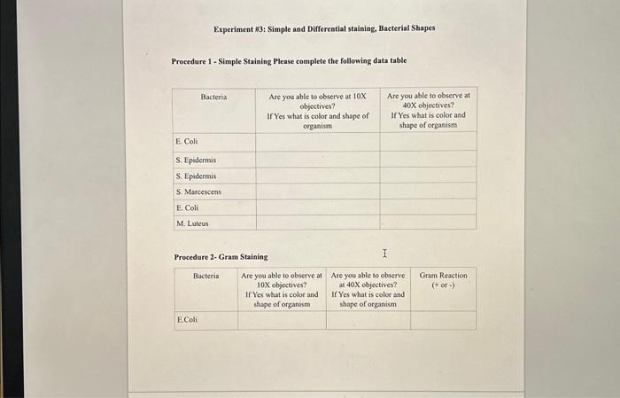 Experiment 13: Simple and Differential staining, | Chegg.com