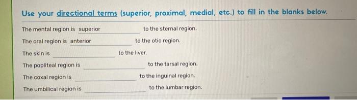 Solved Use your directional terms (superior, proximal, | Chegg.com