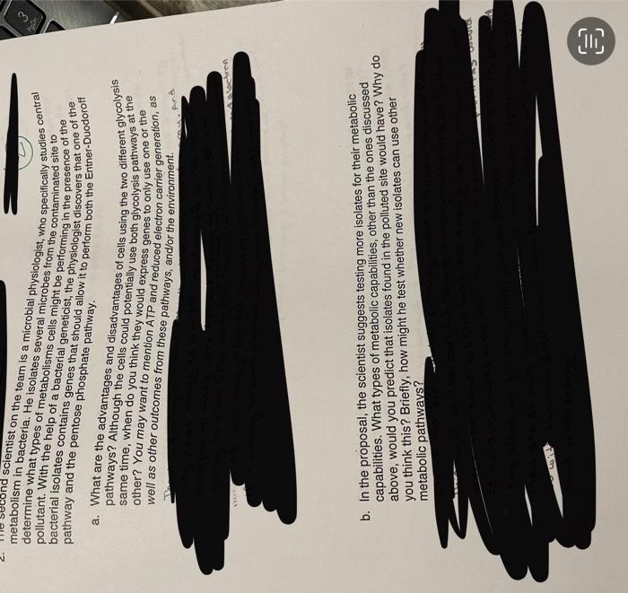 Solved scientist on the metabolism in bacteria. He team is a | Chegg.com