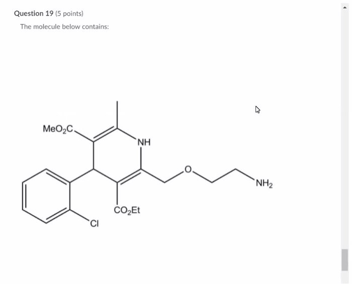 Solved Question 19 (5 points) The molecule below contains: | Chegg.com
