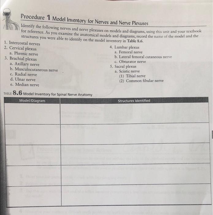 Solved Procedure 1 Model Inventory for Nerves and Nerve | Chegg.com