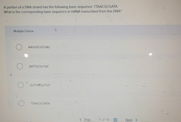 Solved A portion of a DNA strand has the following base | Chegg.com