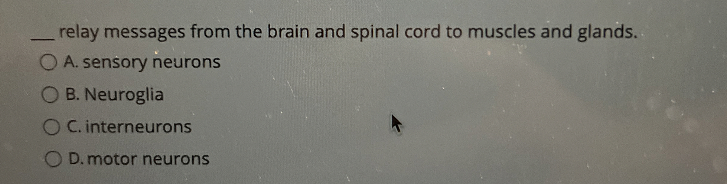Solved q, ﻿relay messages from the brain and spinal cord to | Chegg.com