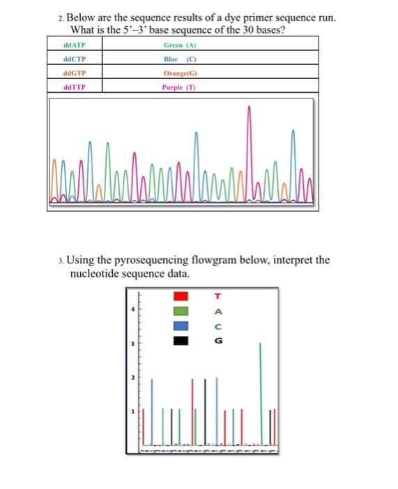 Solved 2. Below are the sequence results of a dye primer | Chegg.com