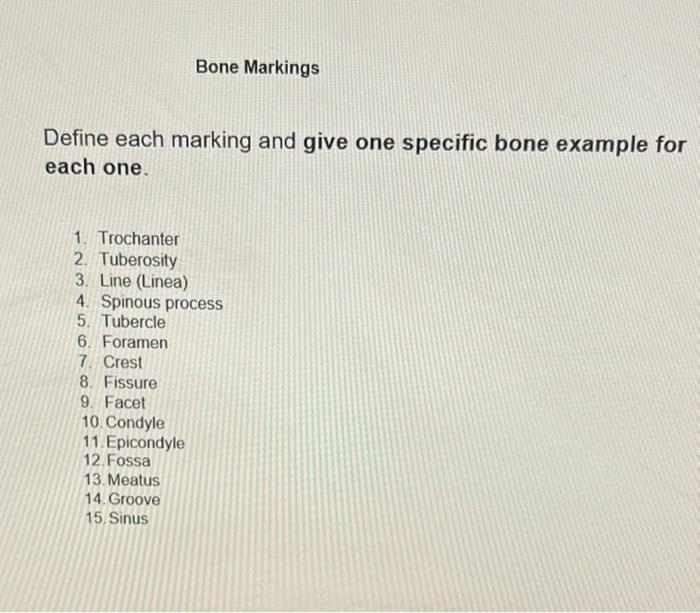 Solved Bone Markings Define each marking and give one | Chegg.com