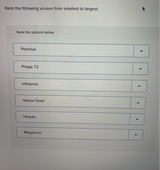 Solved Rank the following viruses from smallest to largest. | Chegg.com
