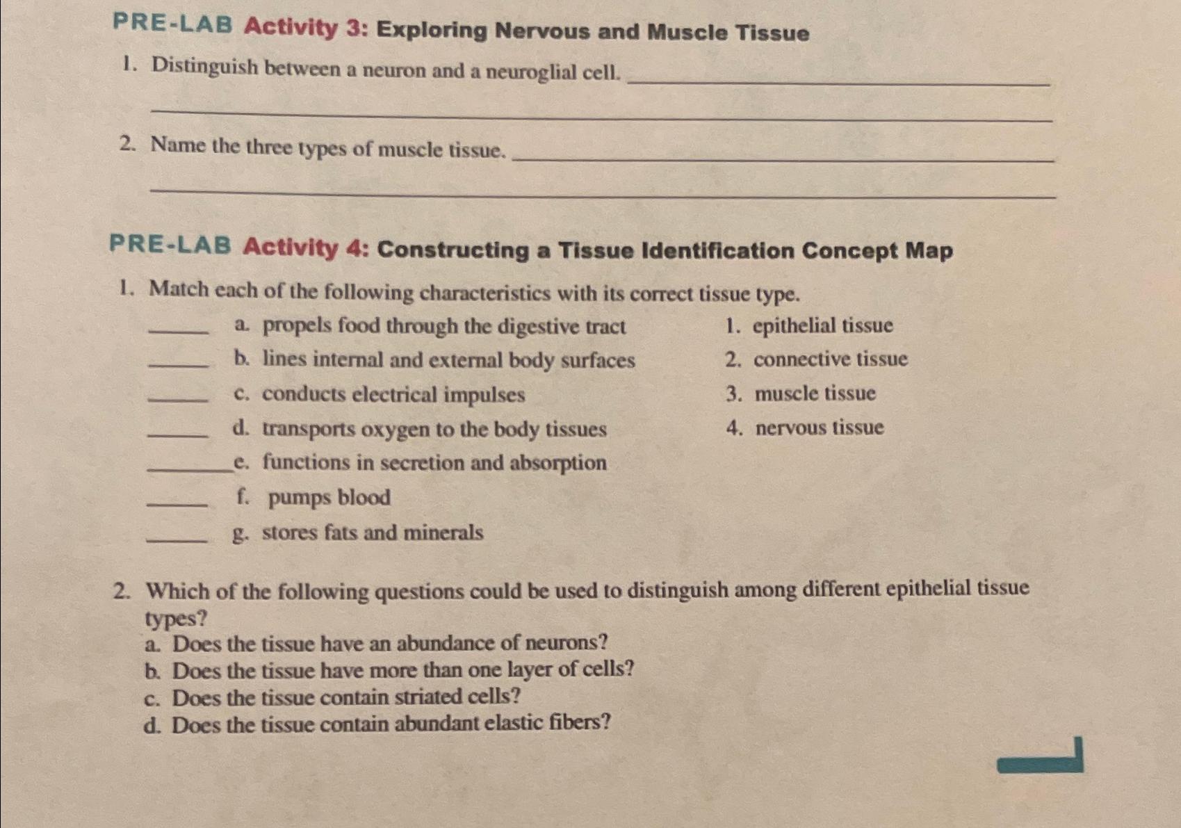 PRE-LAB Activity 3: Exploring Nervous and Muscle | Chegg.com