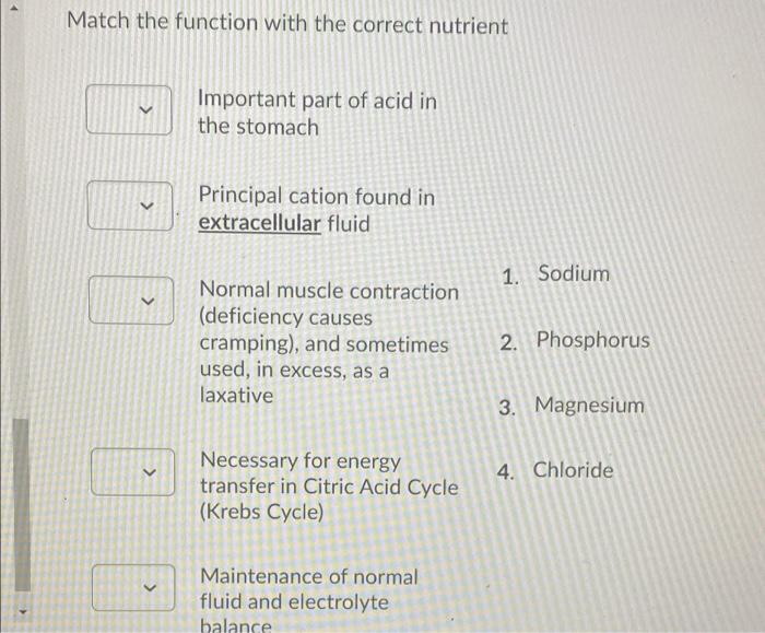 Solved Match the function with the correct nutrient