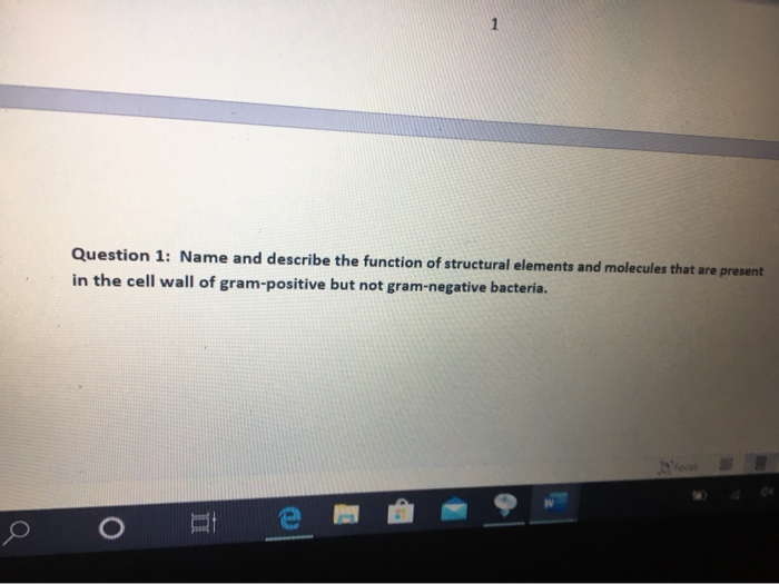 Solved Question 1 Name And Describe The Function Of Chegg Solved Question 1 Name And Describe The Function Of Chegg