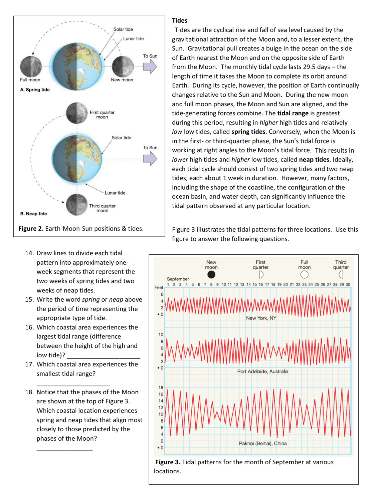 TidesTides are the cyclical rise and fall of sea | Chegg.com