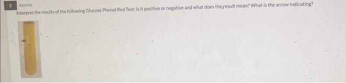 Solved interpret the results of the following Glucose Phenol | Chegg.com