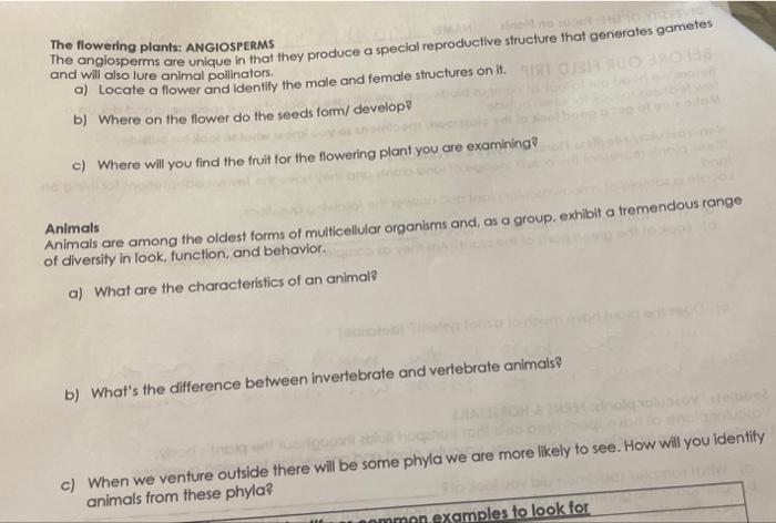 Solved The flowering plants: ANGIOSPERMS The anglosperms are | Chegg.com