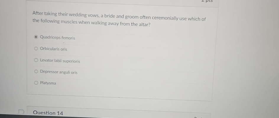 Solved After taking their wedding vows, a bride and groom | Chegg.com