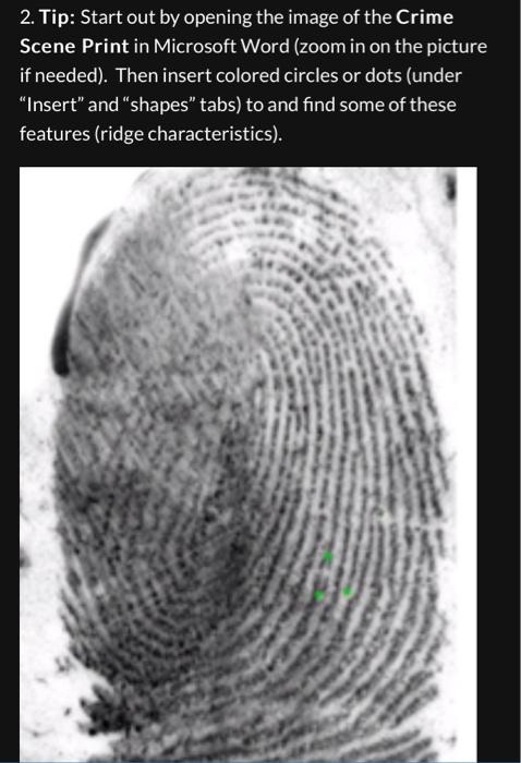 3. Then Evaluate the Suspect Print (so there is no | Chegg.com