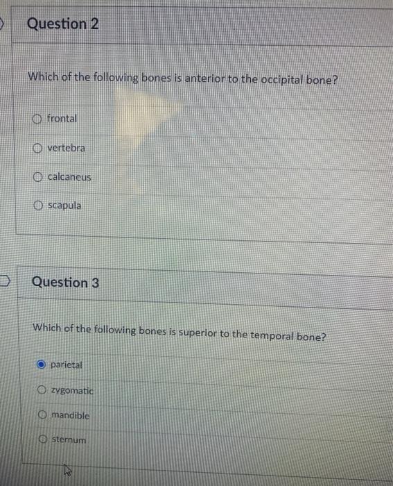 Solved LAB 5 EXERCISE IMAGE LIBRARY Students should use | Chegg.com