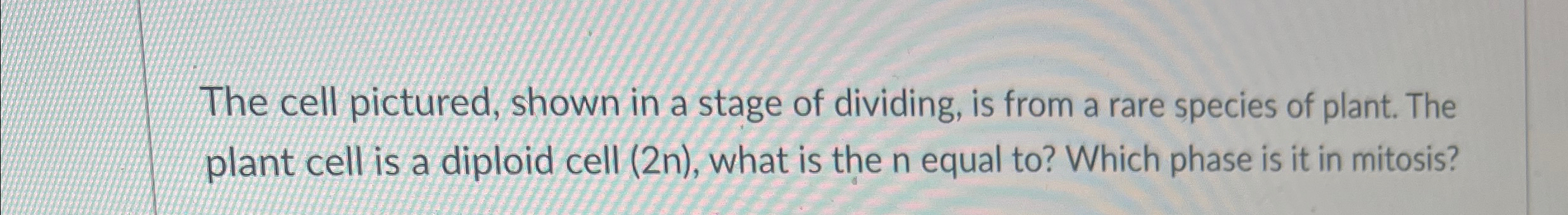 Solved The cell pictured, shown in a stage of dividing, is | Chegg.com