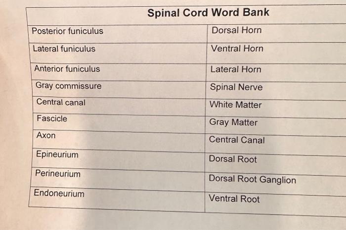 Solved \begin{tabular}{|l|l|} \hline \multicolumn{2}{|c|}{ | Chegg.com
