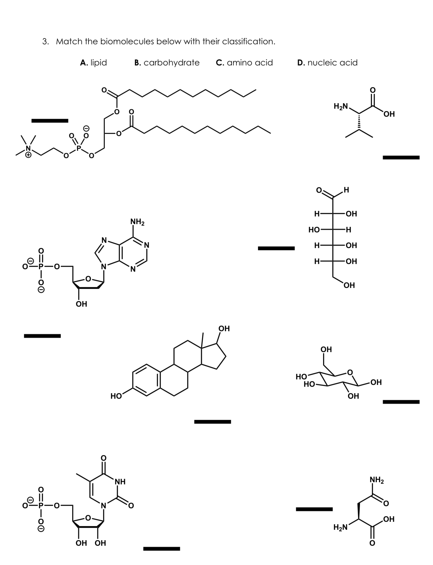 Solved Match the biomolecules below with their | Chegg.com