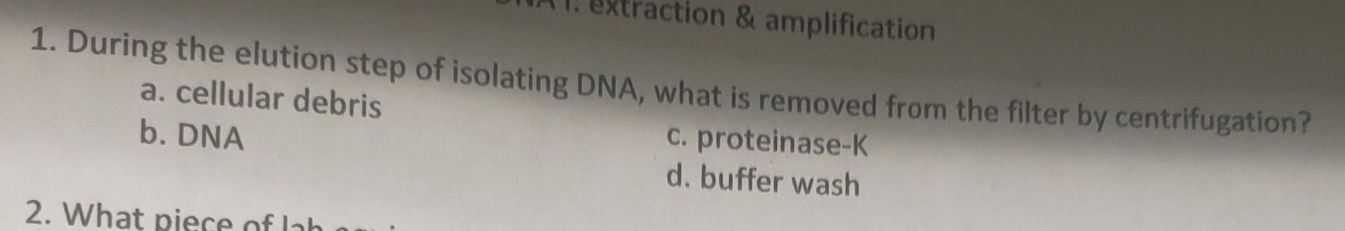 Solved 1. During the elution step of isolating DNA, what is | Chegg.com