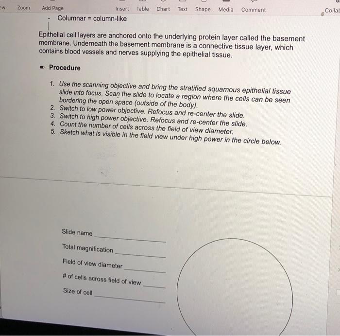 Solved ew Zoom Table Chart Text Shape Media Add Page Insert | Chegg.com