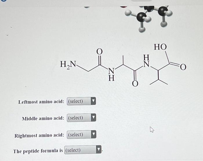 Solved H₂N Leftmost amino acid: (select) Middle amino acid: | Chegg.com