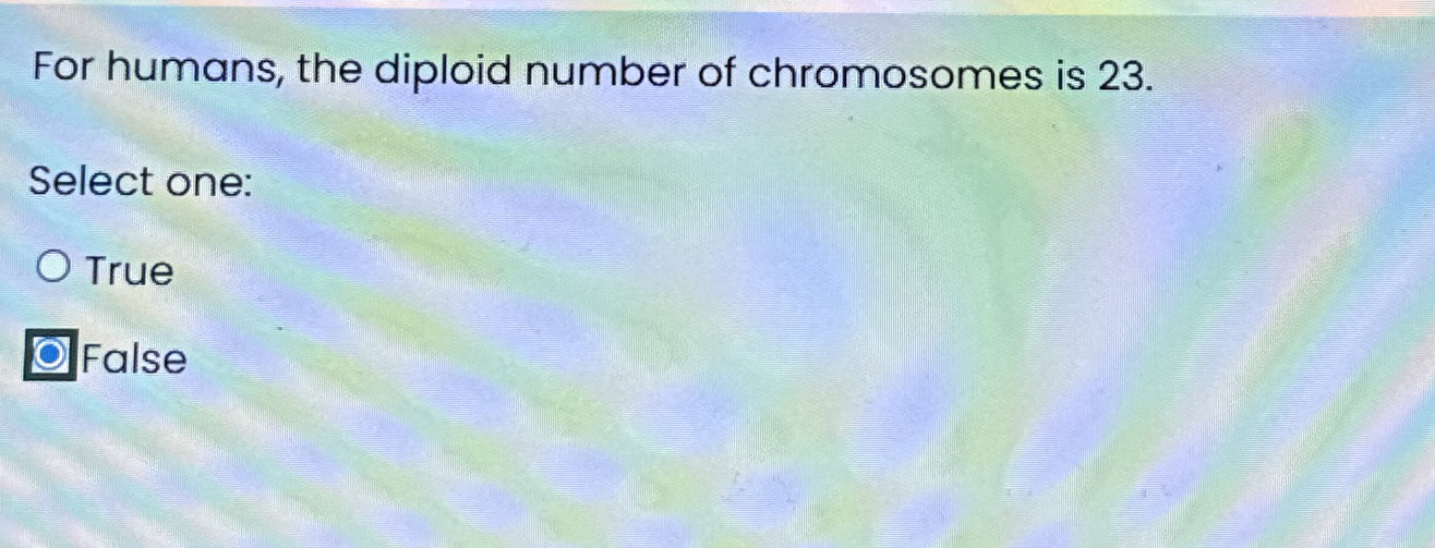 Solved For humans, the diploid number of chromosomes is | Chegg.com