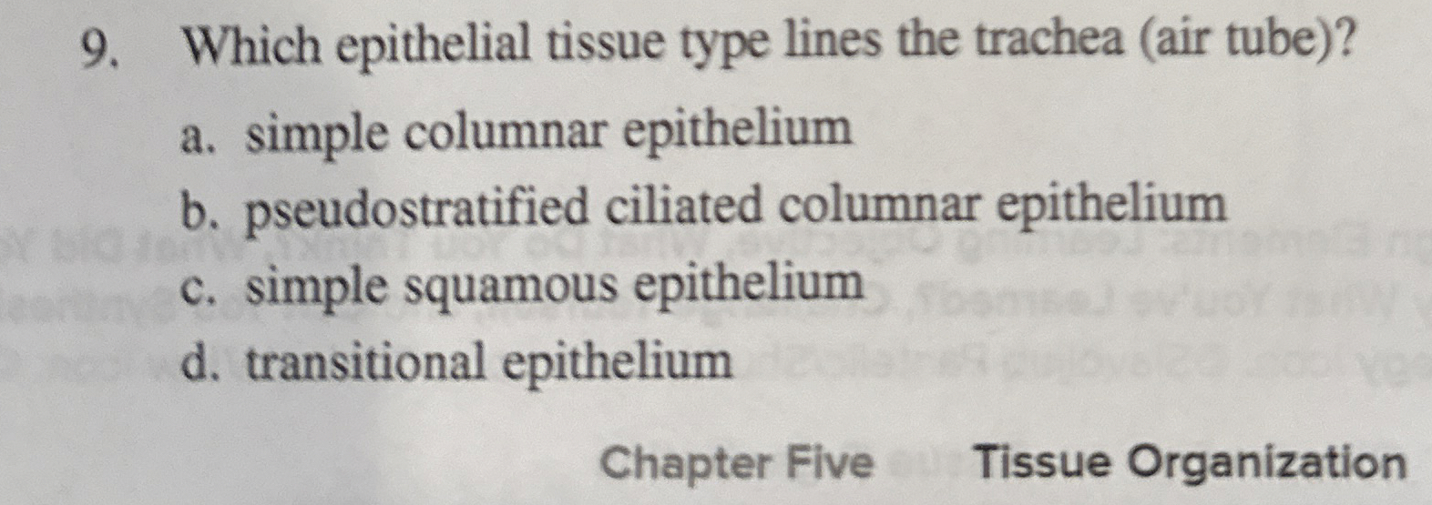 Solved Which epithelial tissue type lines the trachea (air | Chegg.com